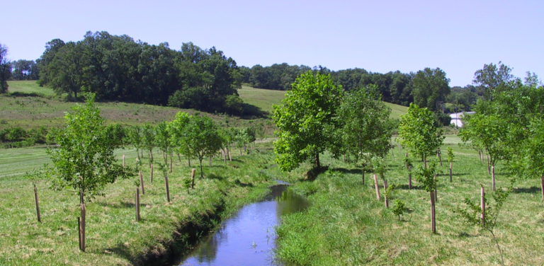 Mini-guide to Types of Riparian Buffers - James River Association