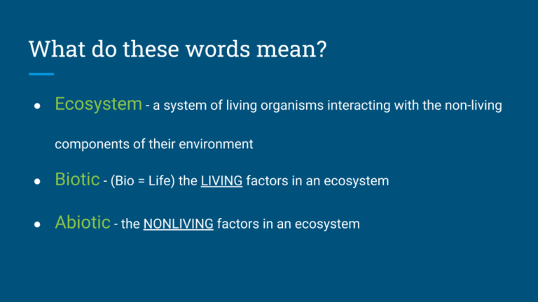 Abiotic vs. Biotic Factors in an Ecosystem | James River Association