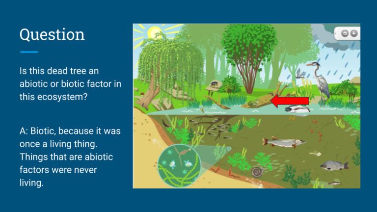 Abiotic vs. Biotic Factors in an Ecosystem | James River Association