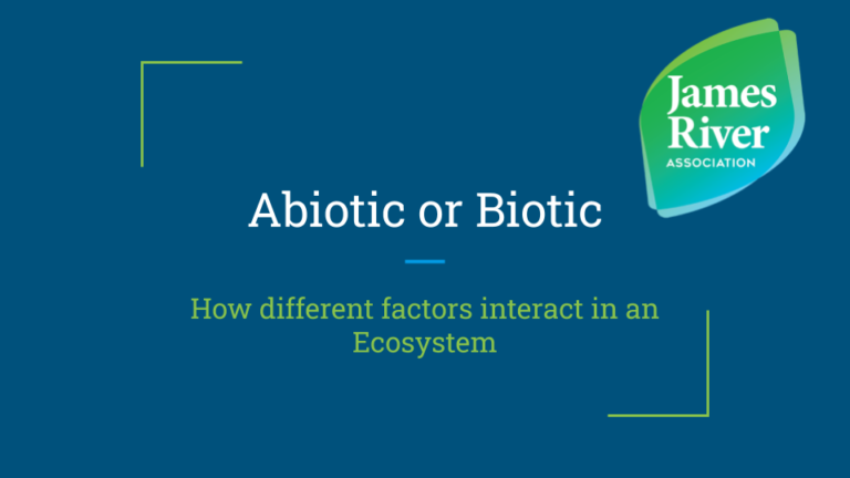 Abiotic vs. Biotic Factors in an Ecosystem | James River Association