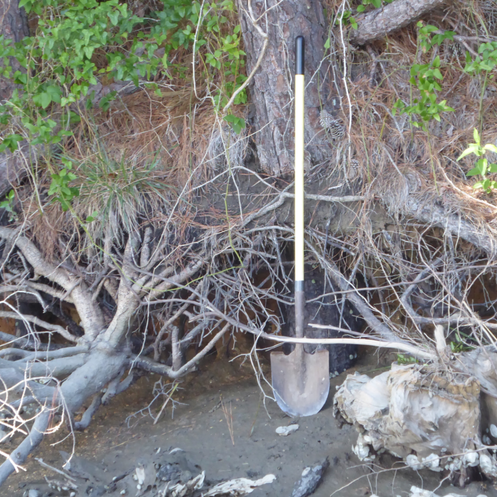 From the Marsh: Living Shoreline Edition - James River Association