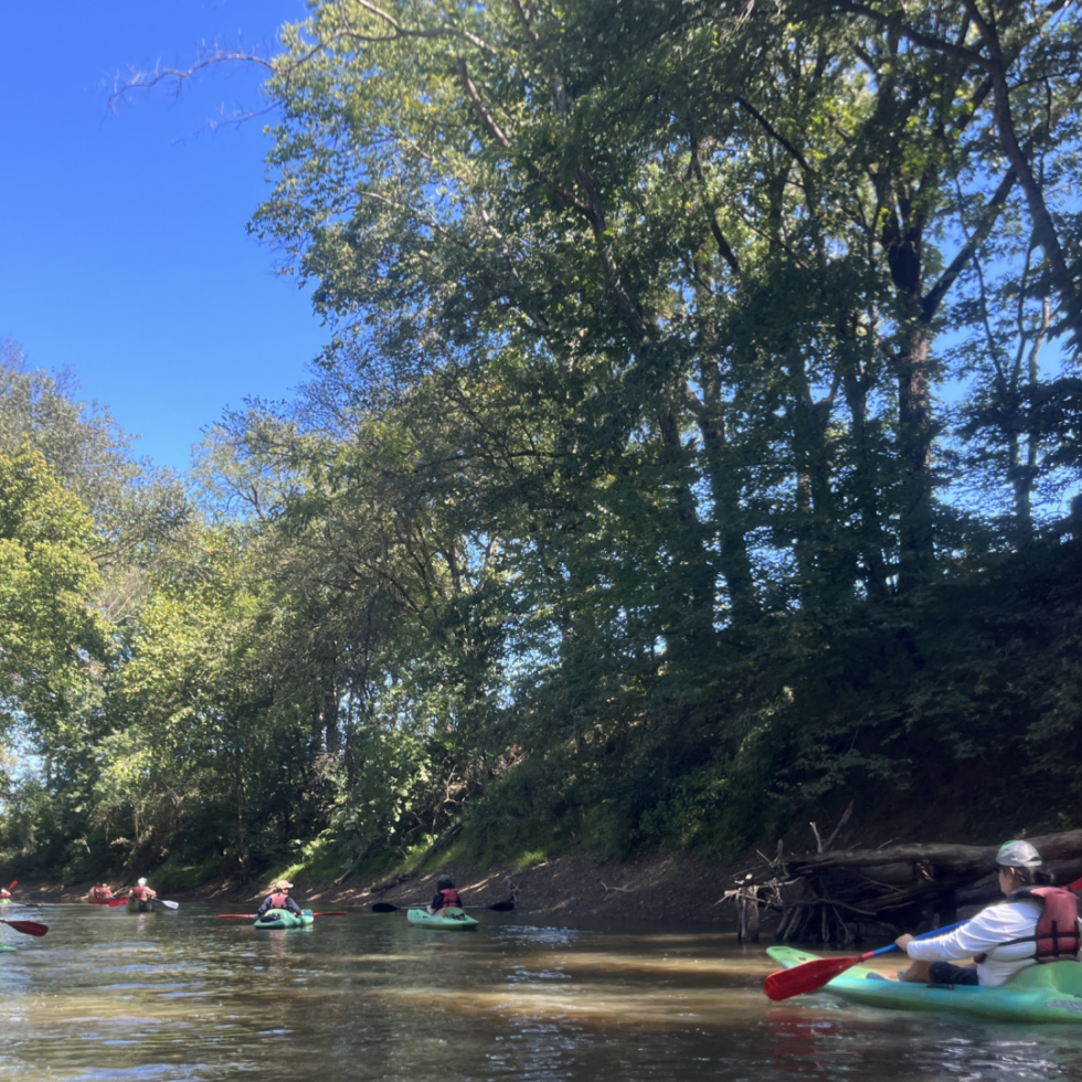 James River Buffers: Exploring Nature and History Along the Willis and ...
