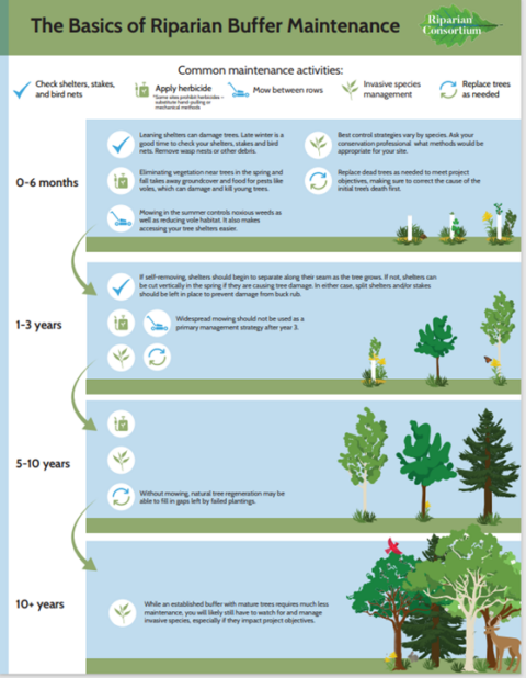 Importance of Buffer Maintenance throughout the James River Buffer Program | James River Association