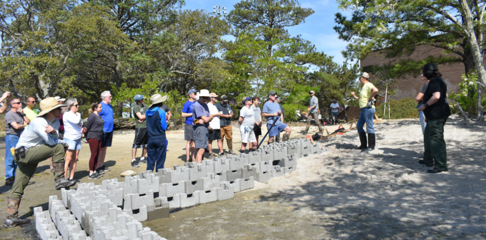 Living Shoreline Collaborative Partner Highlight: Shereen Hughes ...