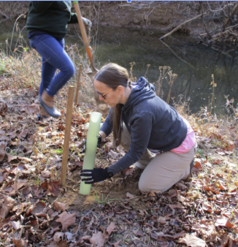 James River Buffers: Buffers and Flooding - James River Association
