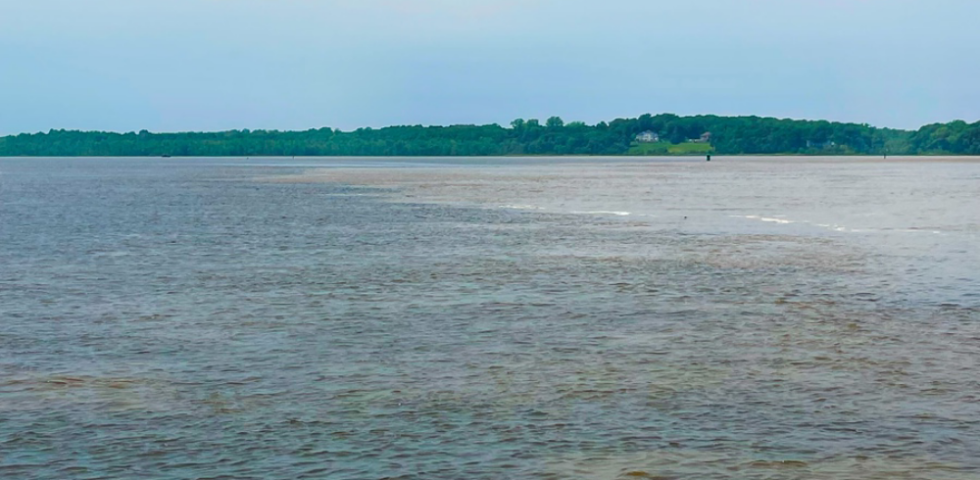 River Health Deep Dive: What is Turbidity? | James River Association