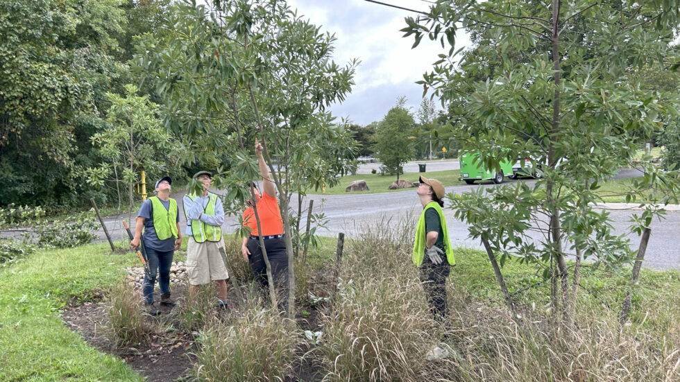 Green Infrastructure Stewards Volunteer Event | James River Association
