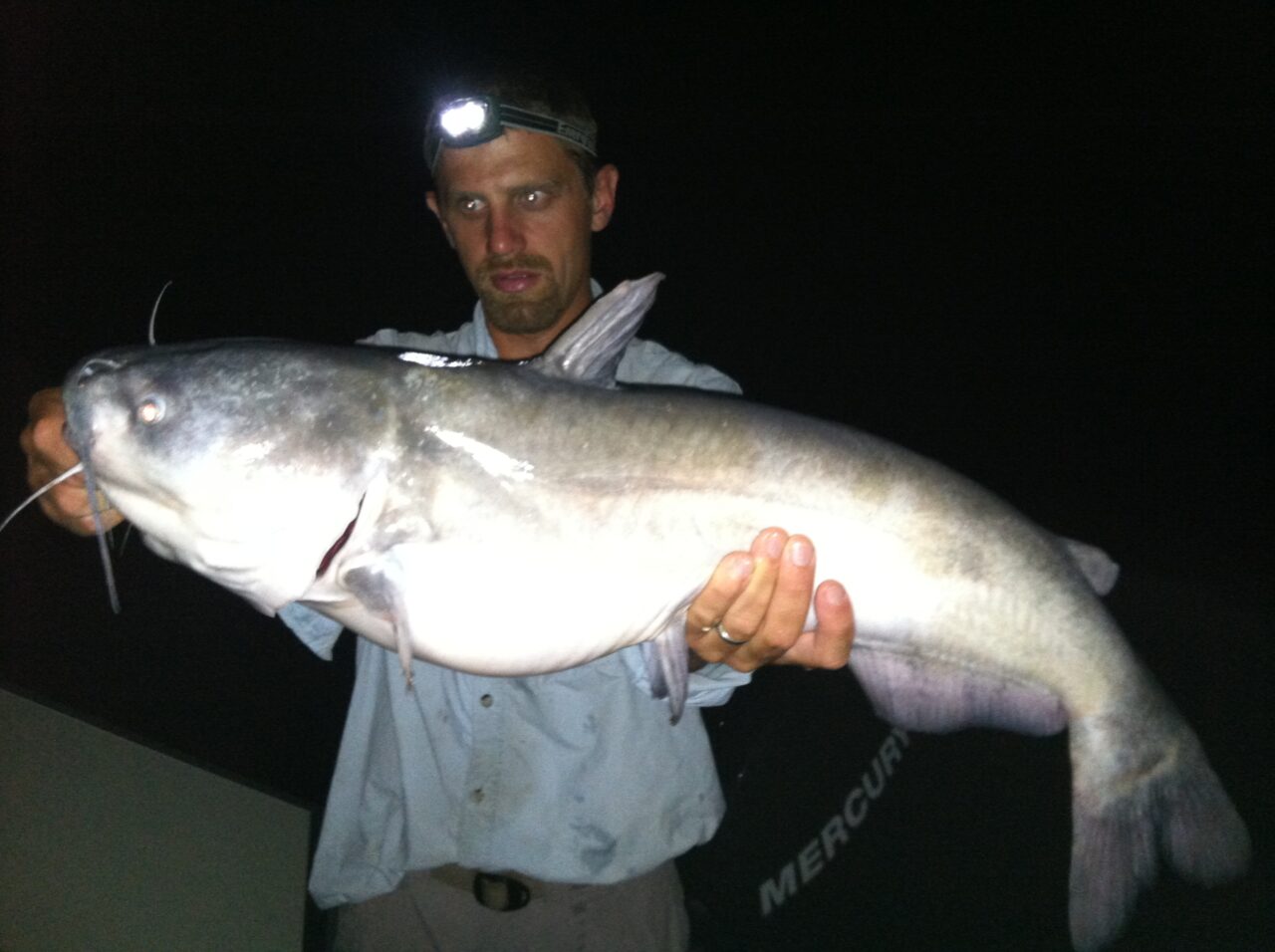 James River Spotlight - The Threat of Blue Catfish to Our Native ...