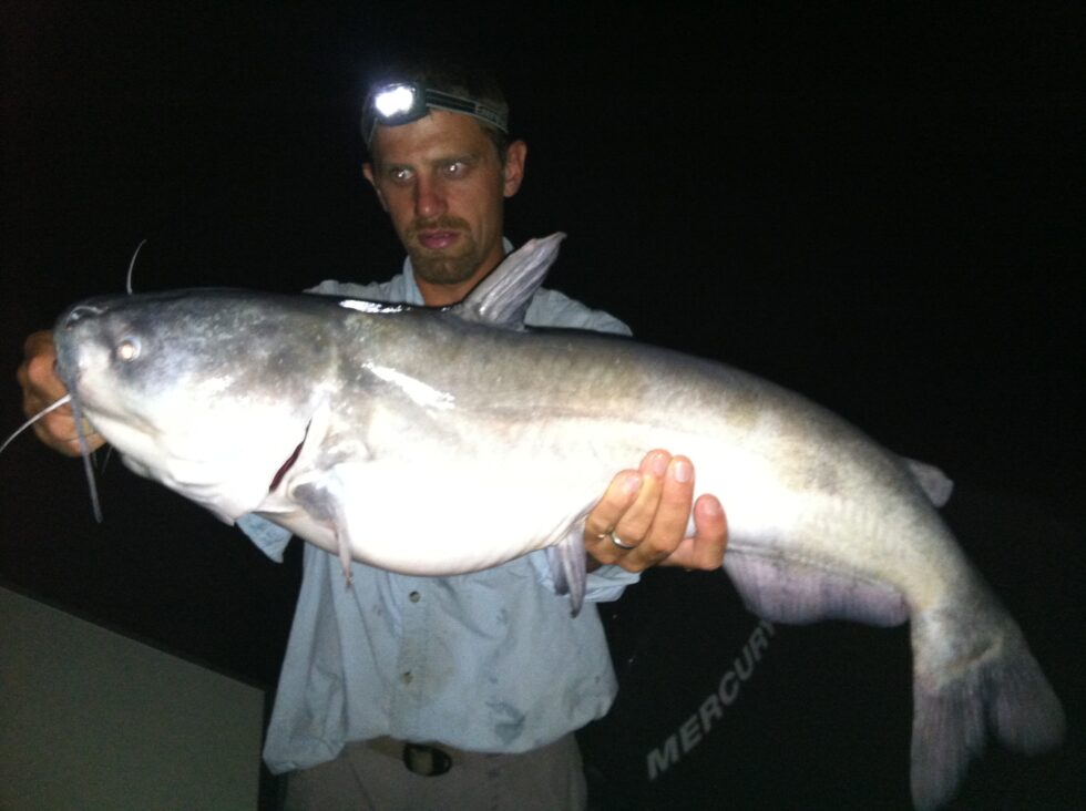 James River Spotlight - The Threat of Blue Catfish to Our Native ...