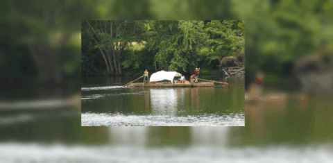 Build a Batteau | James River Association